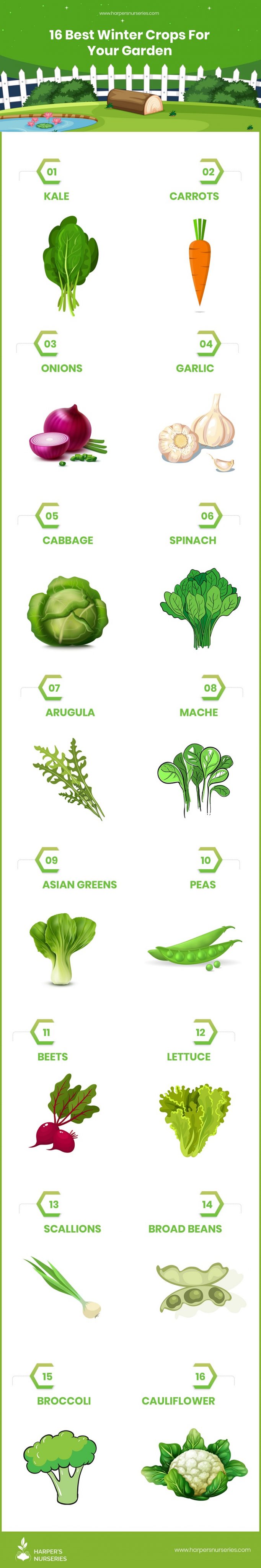 16 Best Winter Crops For Your Garden | Harper's Nurseries