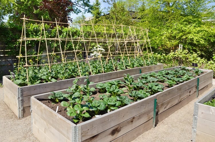 How To Build Your Own Garden Plot Harper s Nurseries