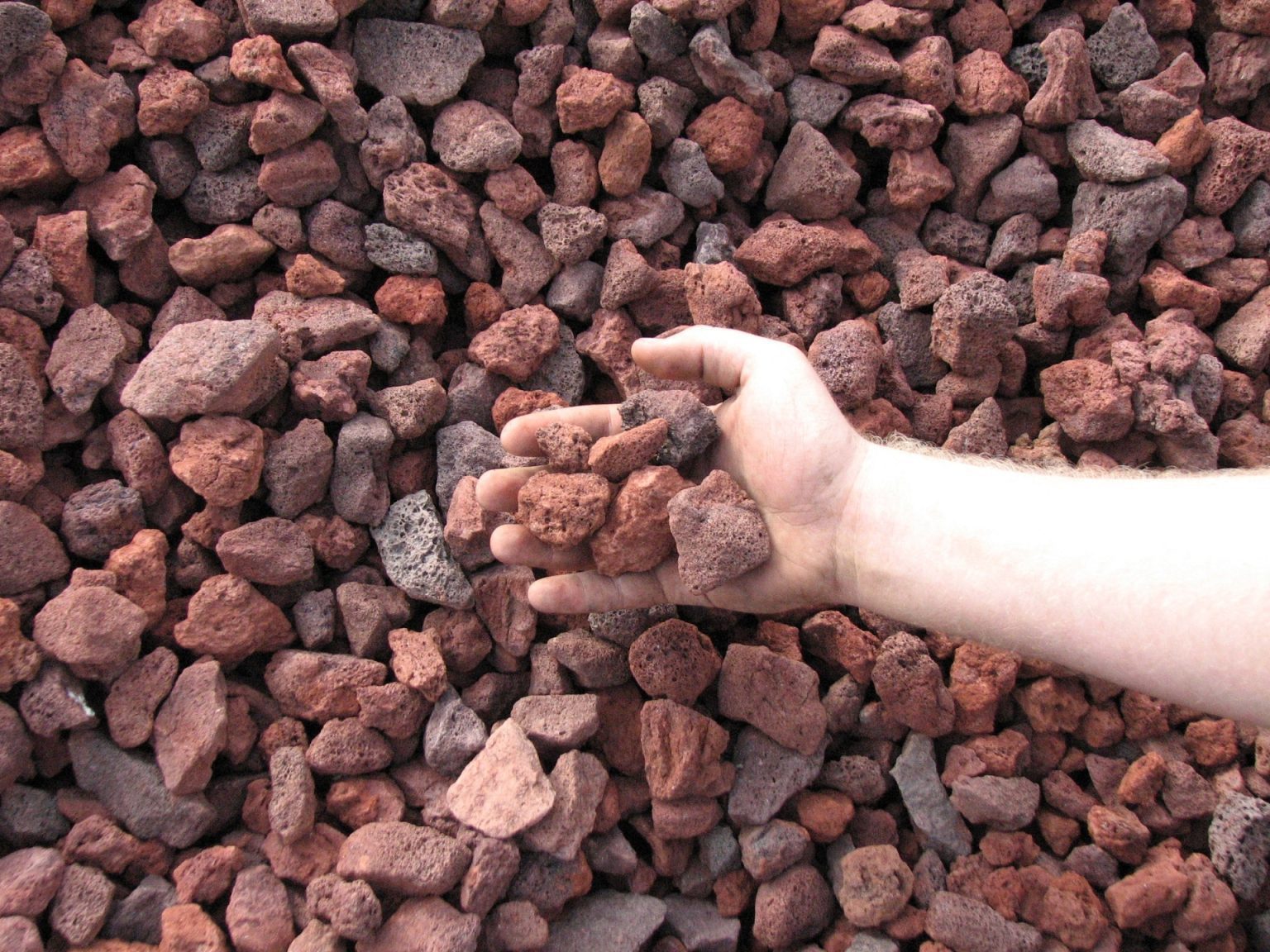 The Best Lava Rocks For Your Garden | Harper's Nurseries