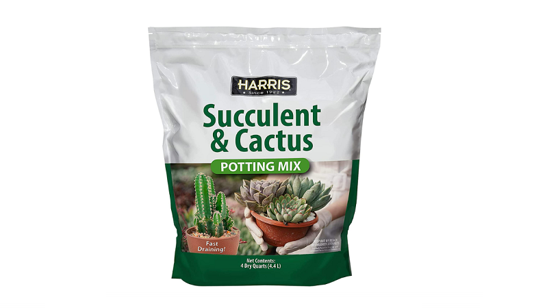 Best Cactus Potting Soil: 5 Top Picks | Harper's Nurseries