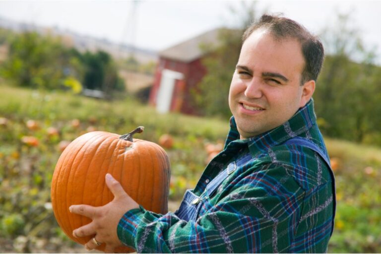 What Is The Average Pumpkin Weight? | Harper's Nurseries